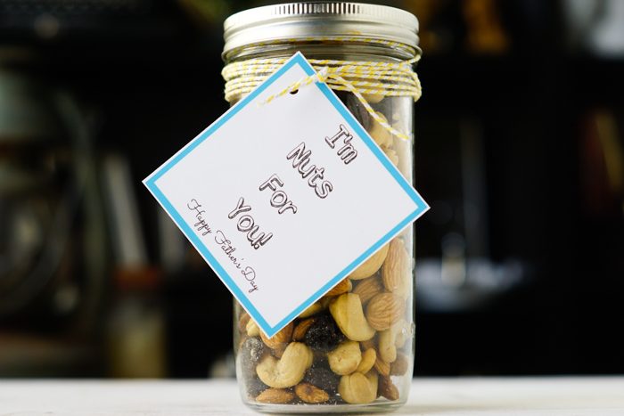 I'm Nuts For You Father's Day Gift - Clever Pink Pirate