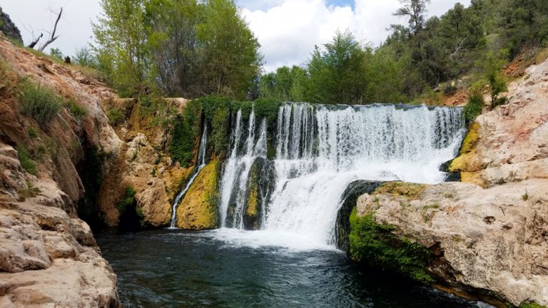 Visiting Strawberry Pine Arizona - Clever Pink Pirate