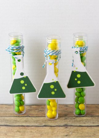 Mad Science Candy Test Tubes - Clever Pink Pirate