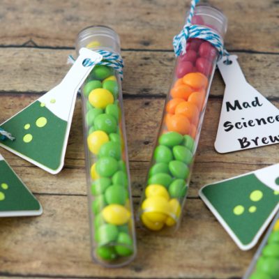 Mad Science Birthday Archives - Clever Pink Pirate